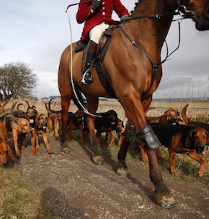 Drag Hunting - Save Me Trust